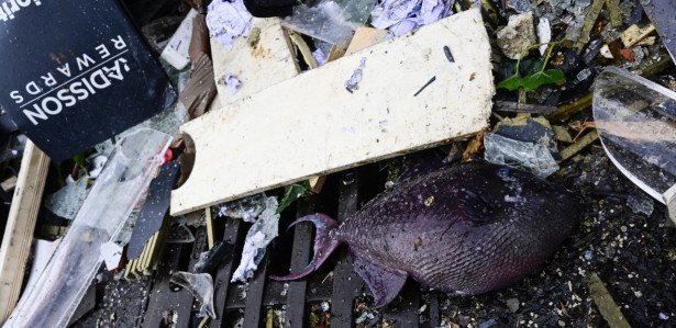 AQUÁRIO EXPLODE: veja como era o maior aquário cilíndrico do mundo, o ... AQUÁRIO EXPLODE: veja como era o maior aquário cilíndrico do mundo, o ...