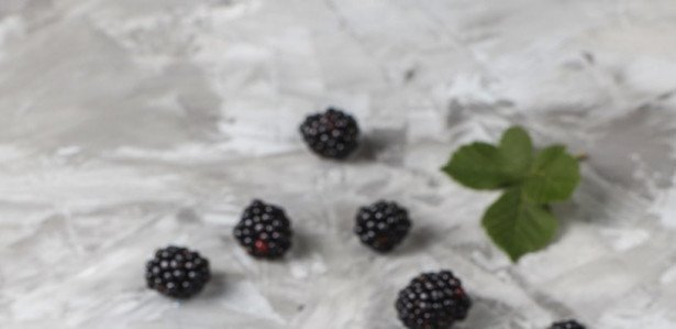 CHÁ DE FOLHA DE AMORA É BOM? Saiba para que serve e como preparar o chá ... CHÁ DE FOLHA DE AMORA É BOM? Saiba para que serve e como preparar o chá ...